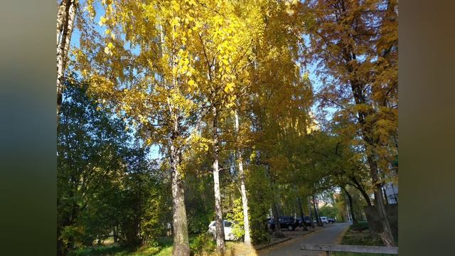 БРОДИТ ОСЕНЬ.