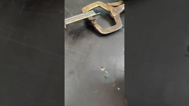 Выращиваю смену