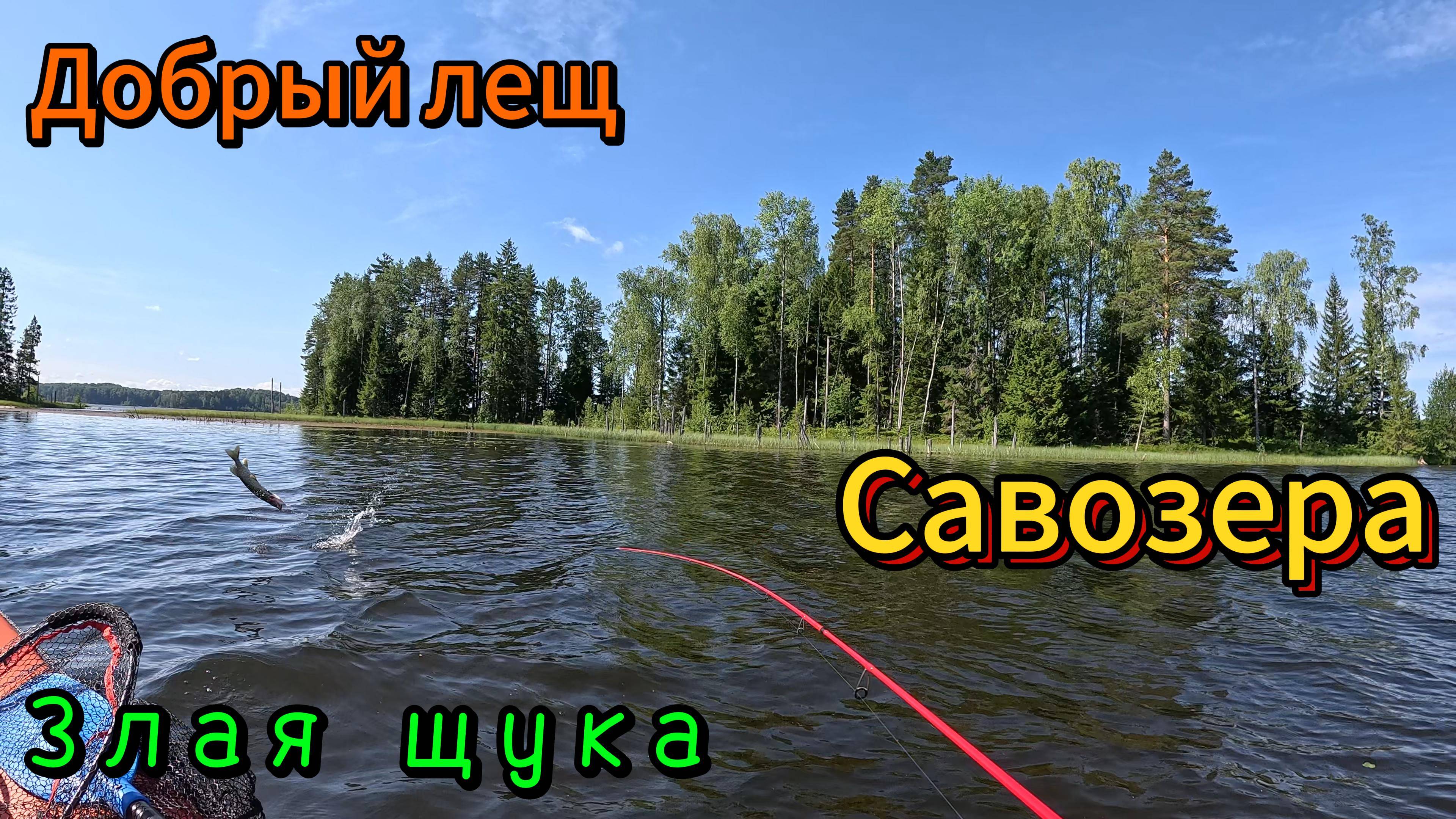 Добрый лещ и злая щука Савозера