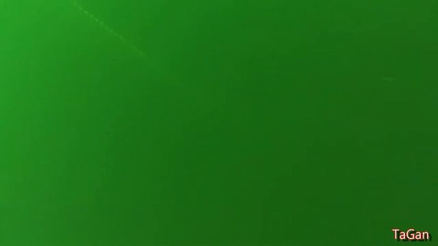 Подводная охота в Ленобласти#КурсДенисаСоколова#системаMolchanovs