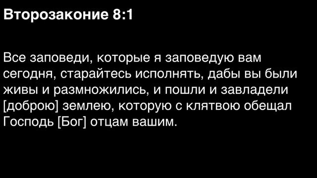 День 48. Библия за год. С митрополитом Иларионом.