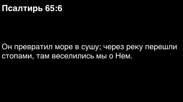 День 157. Библия за год. С митрополитом Иларионом.