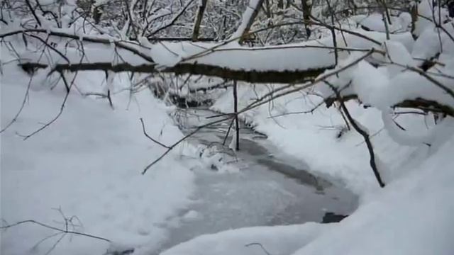 Наедине с природой. Зима