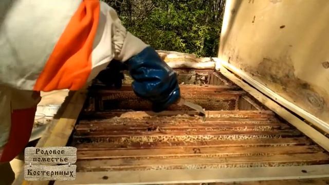 Весенняя ревизия-2018