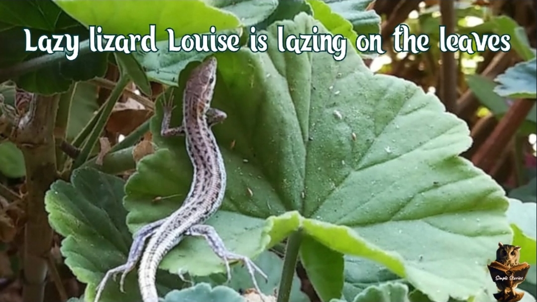 Lazy lizard Louise is lazing on the leaves. Tongue Twister