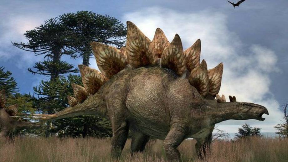 стегозавр часть 2