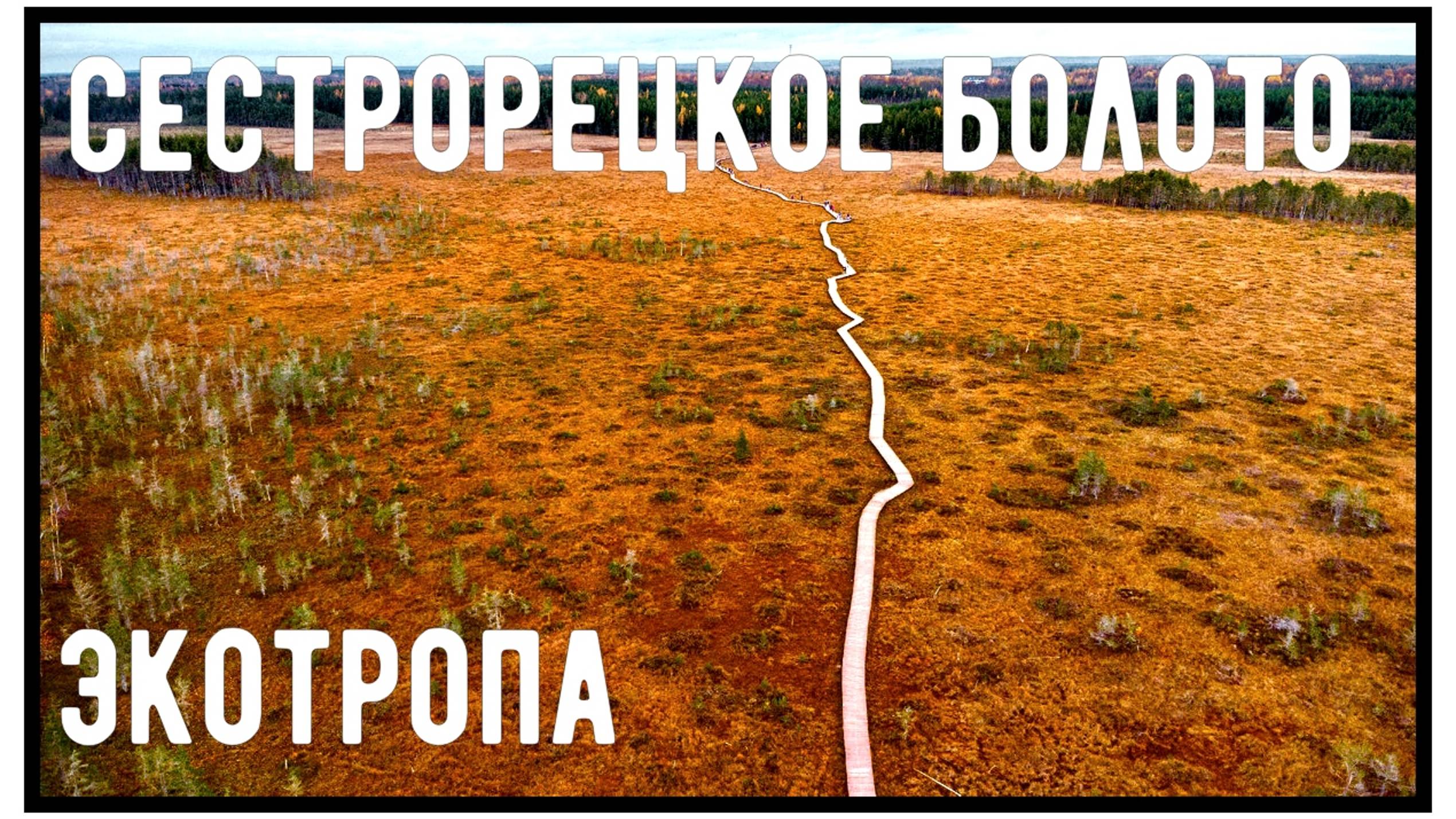 Экотропа. Сестрорецкое болото