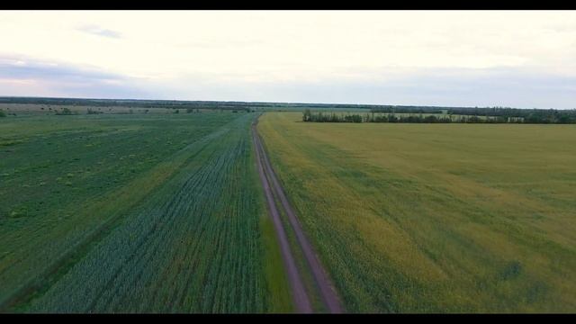 Безмятежность Полей - Relax Video