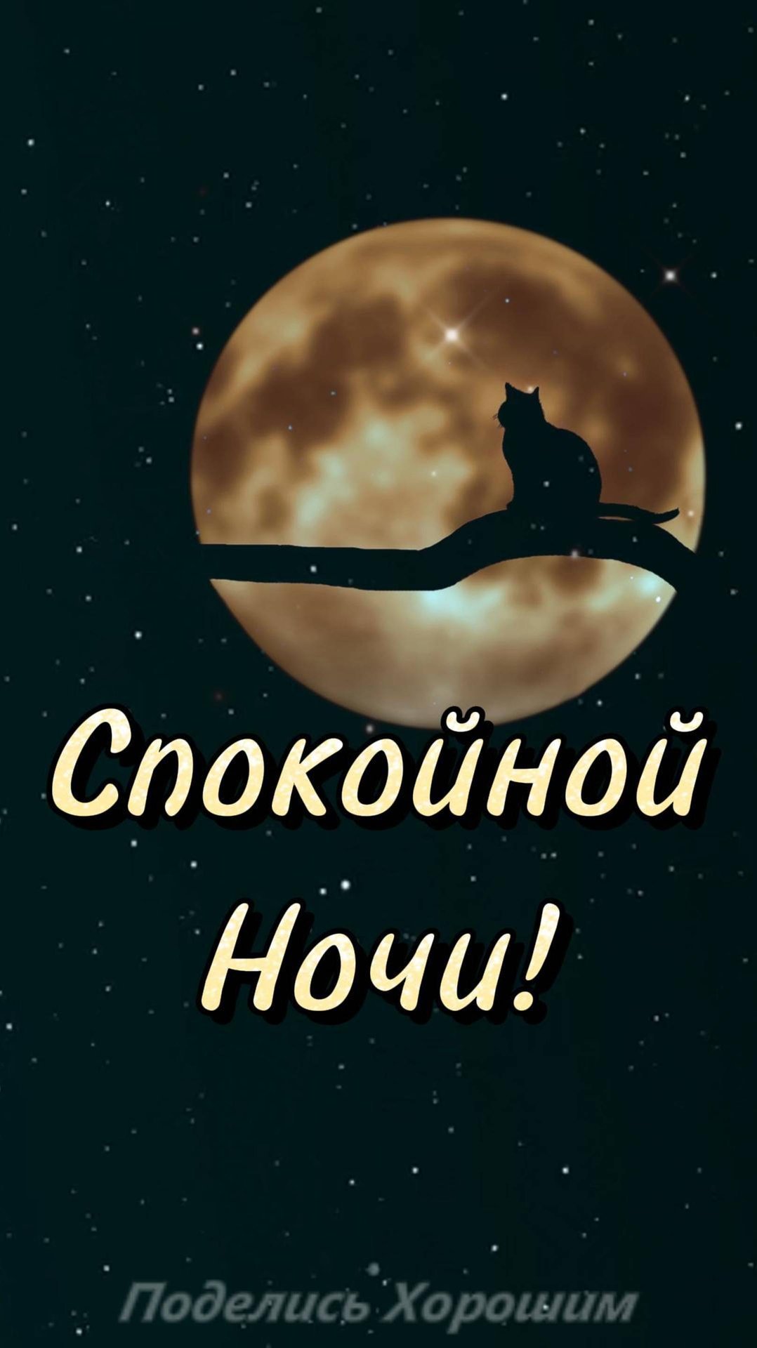 Спокойной Ночи!