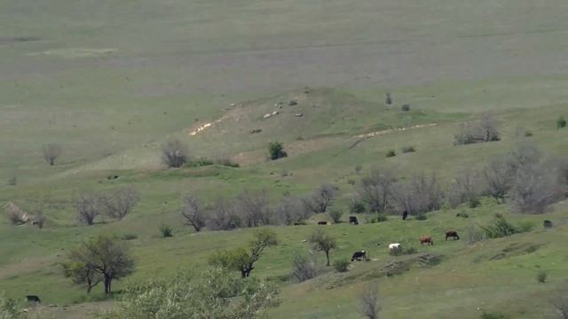 Весна В Степи (Relax video)
