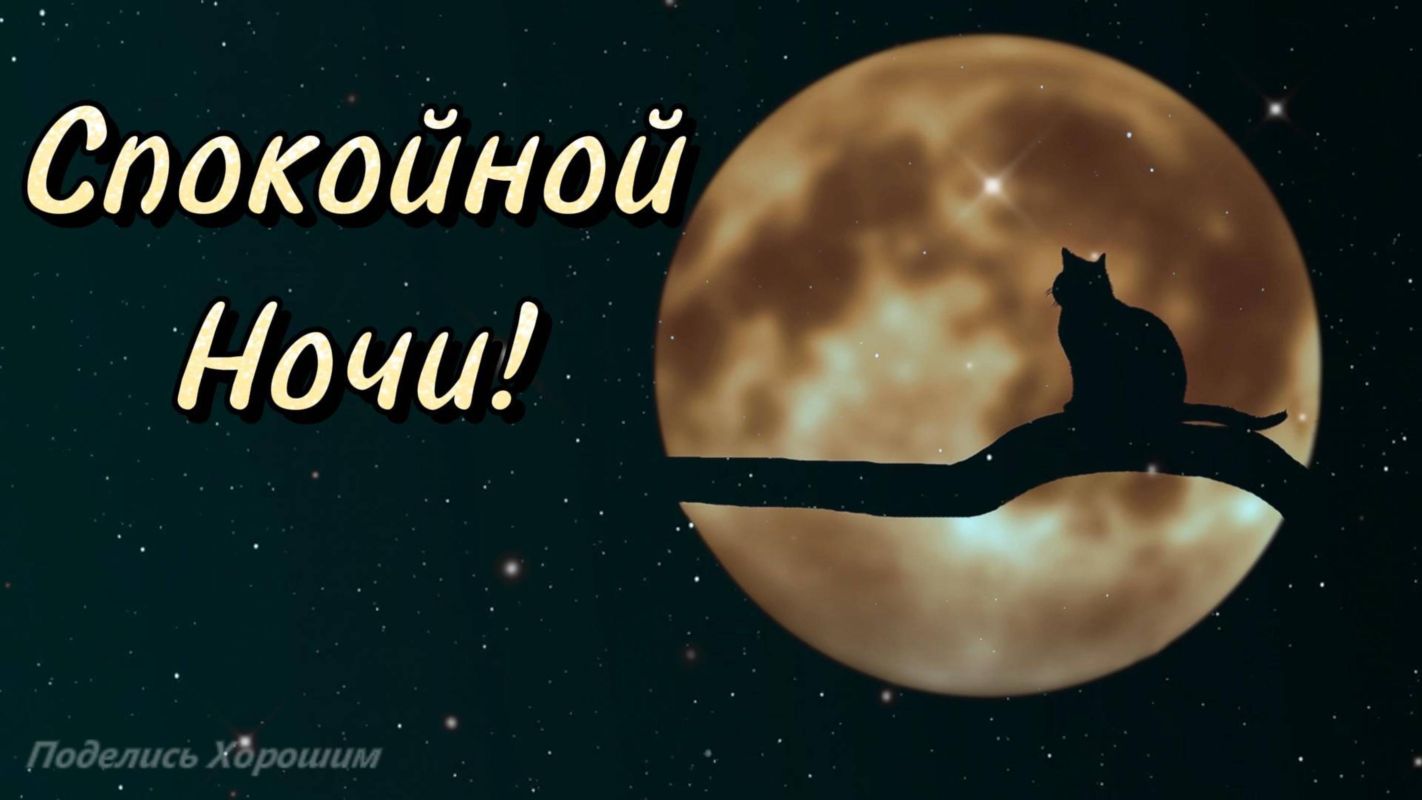 Спокойной Ночи!