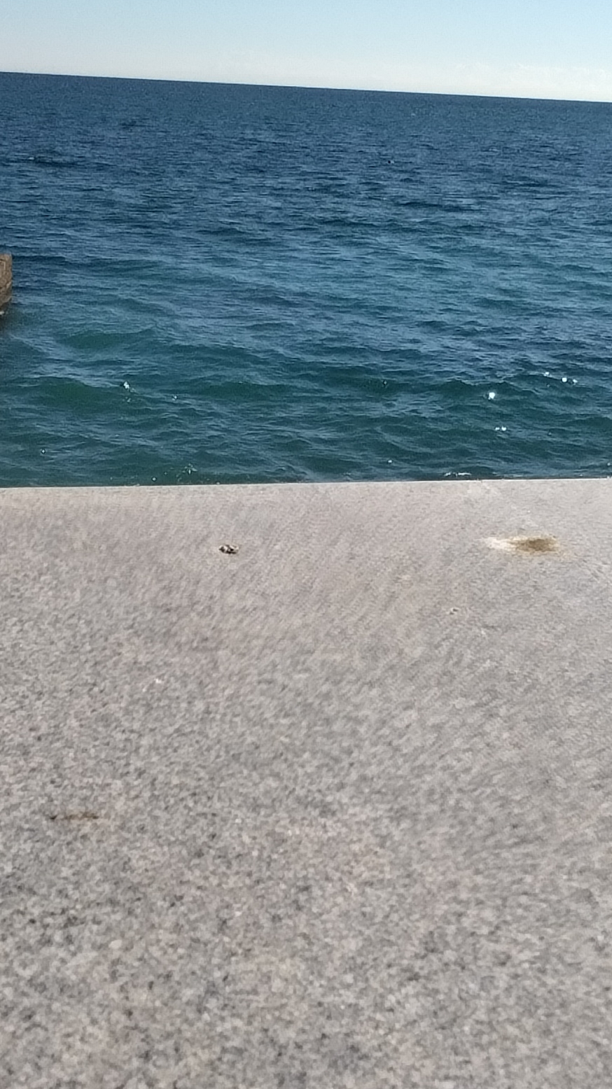 Чёрное море