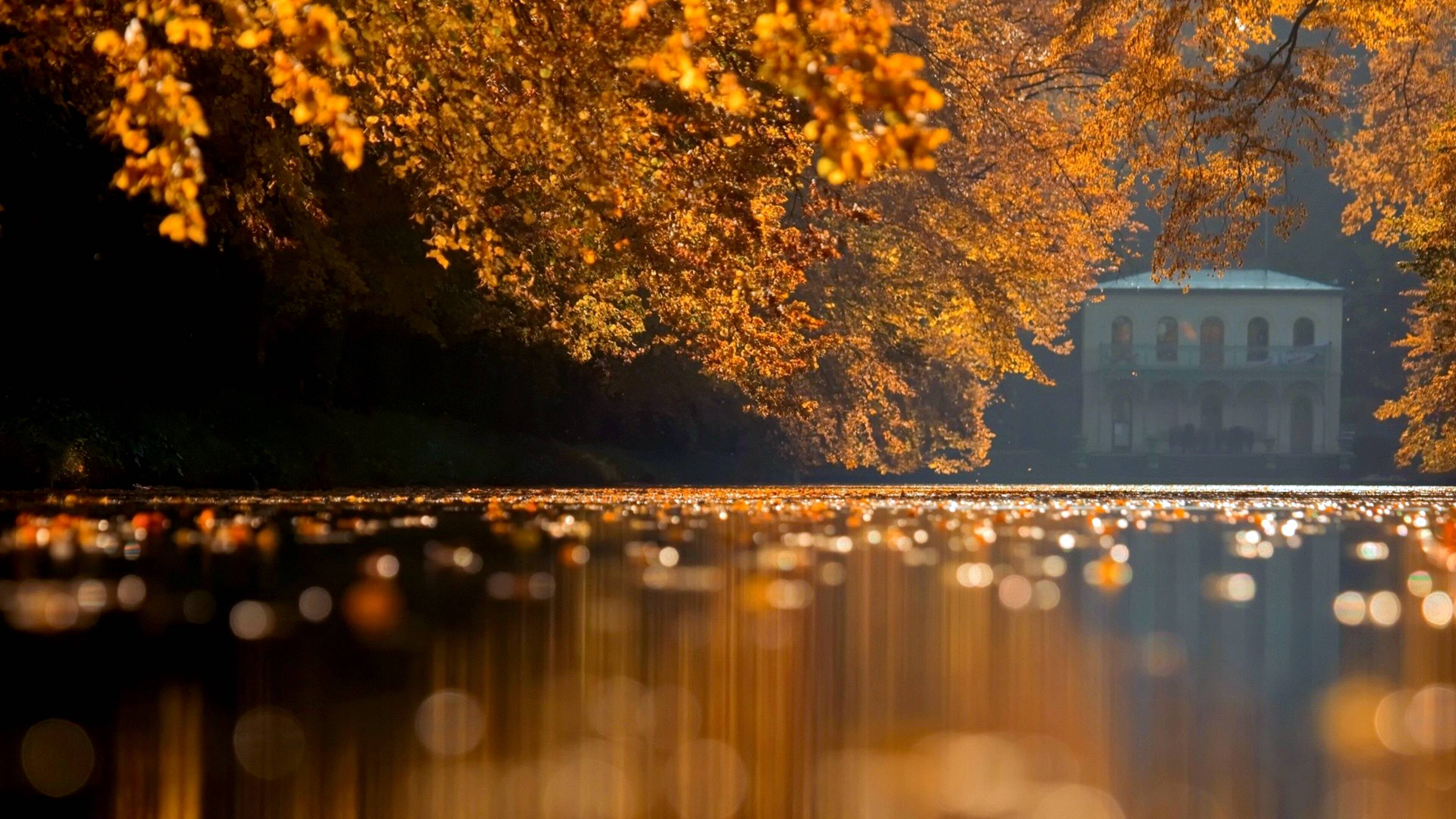 Осенним вечером