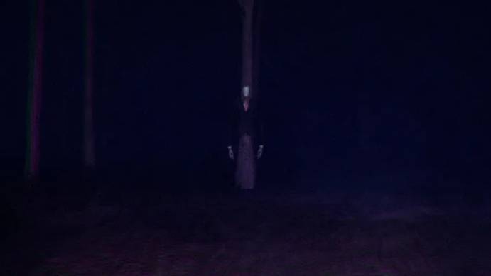 Родиться в 1930, умереть в 1884. Slender: The Arrival. Пропущенные главы