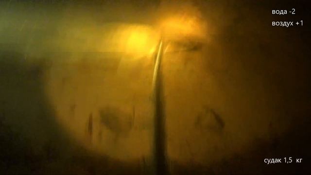 Подводная охота перед Новым годом в Крыму 2022 Sony AX50 1080P 60FPS