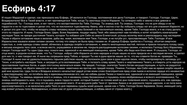 День 140. Библия за год. С митрополитом Иларионом.
