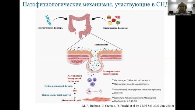 1. Особенности ведения пациентов с дивертикулярной болезнью кишечника