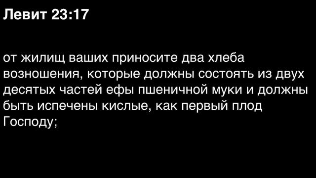 День 33. Библия за год. С митрополитом Иларионом.