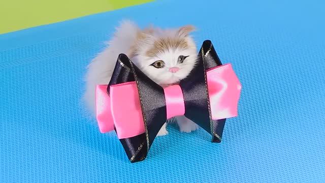 Как сделать красивый бант из лент?. Бантики "Канзаши". Мария Калугина.