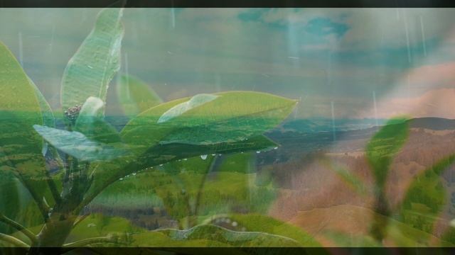 Михаил Кадышев - Марина