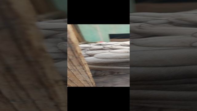 Выходные на даче 2023