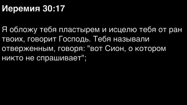 День 211. Библия за год. С митрополитом Иларионом.
