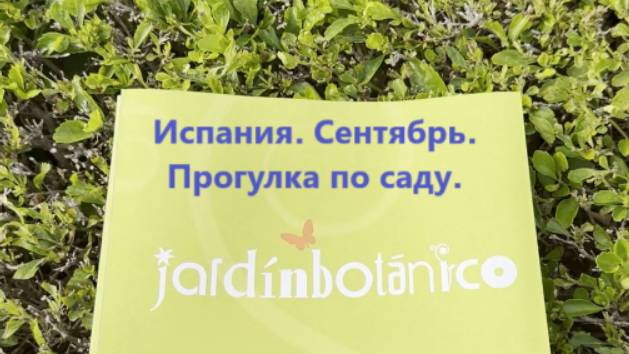Испания.Сентябрь. Прогулка по саду.