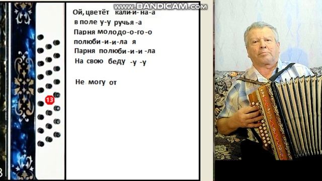 Ой, цветет калина.Разбор на гармони.