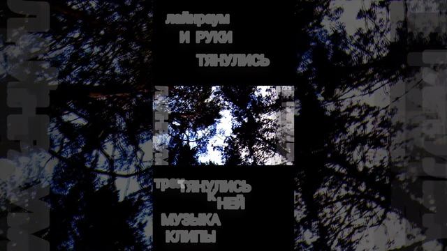 АКУСТИКА МУЗЫКА КЛИПЫ 2024 РУКИ ТЯНУЛИСЬ К НЕЙ ЛАЙНРАУМ