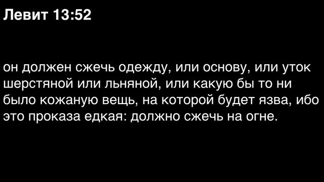 День 30. Библия за год. С митрополитом Иларионом.