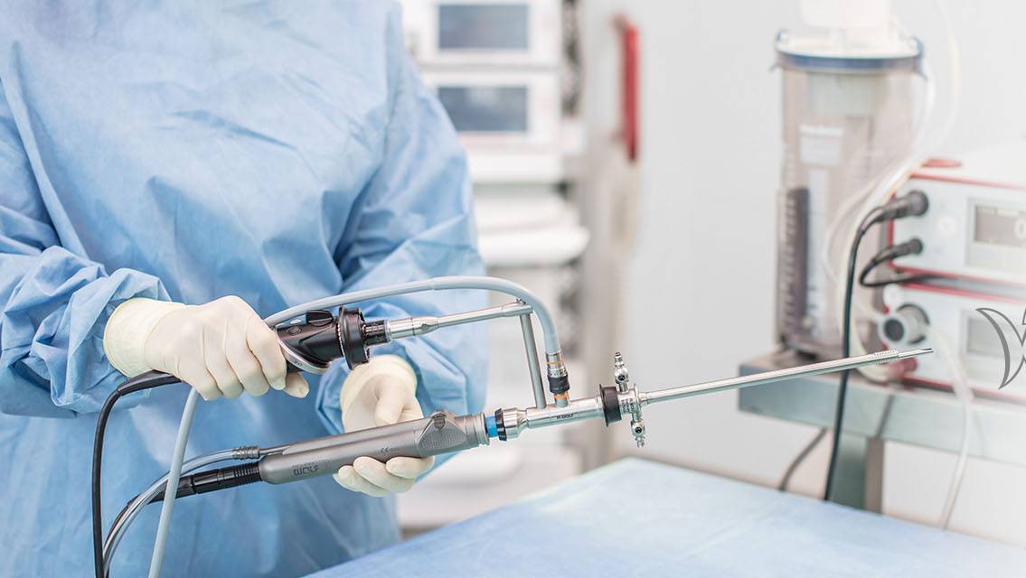 Shark meets Piranha (GB)