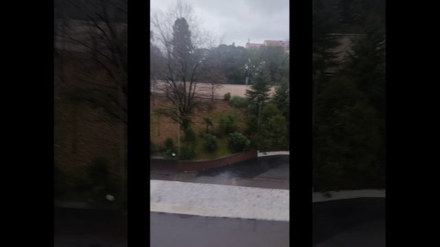 Сочи 2023 декабрь