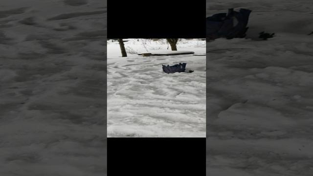 Выходные на даче 2023