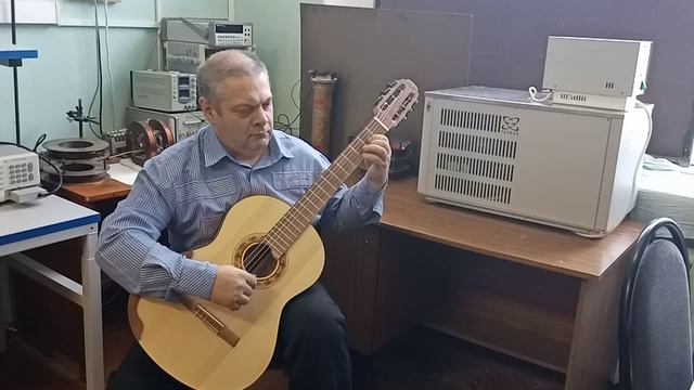 Шестиструнная гитара