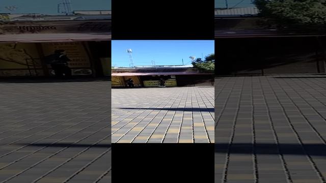 Крымские чебуреки и коты🦁