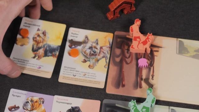 Прогулки с собаками. Обзор и правила настольной игры.