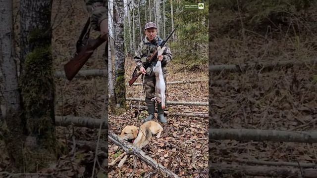 А у вас случалось, чтобы заяц в паре метров от вас притаился? +18