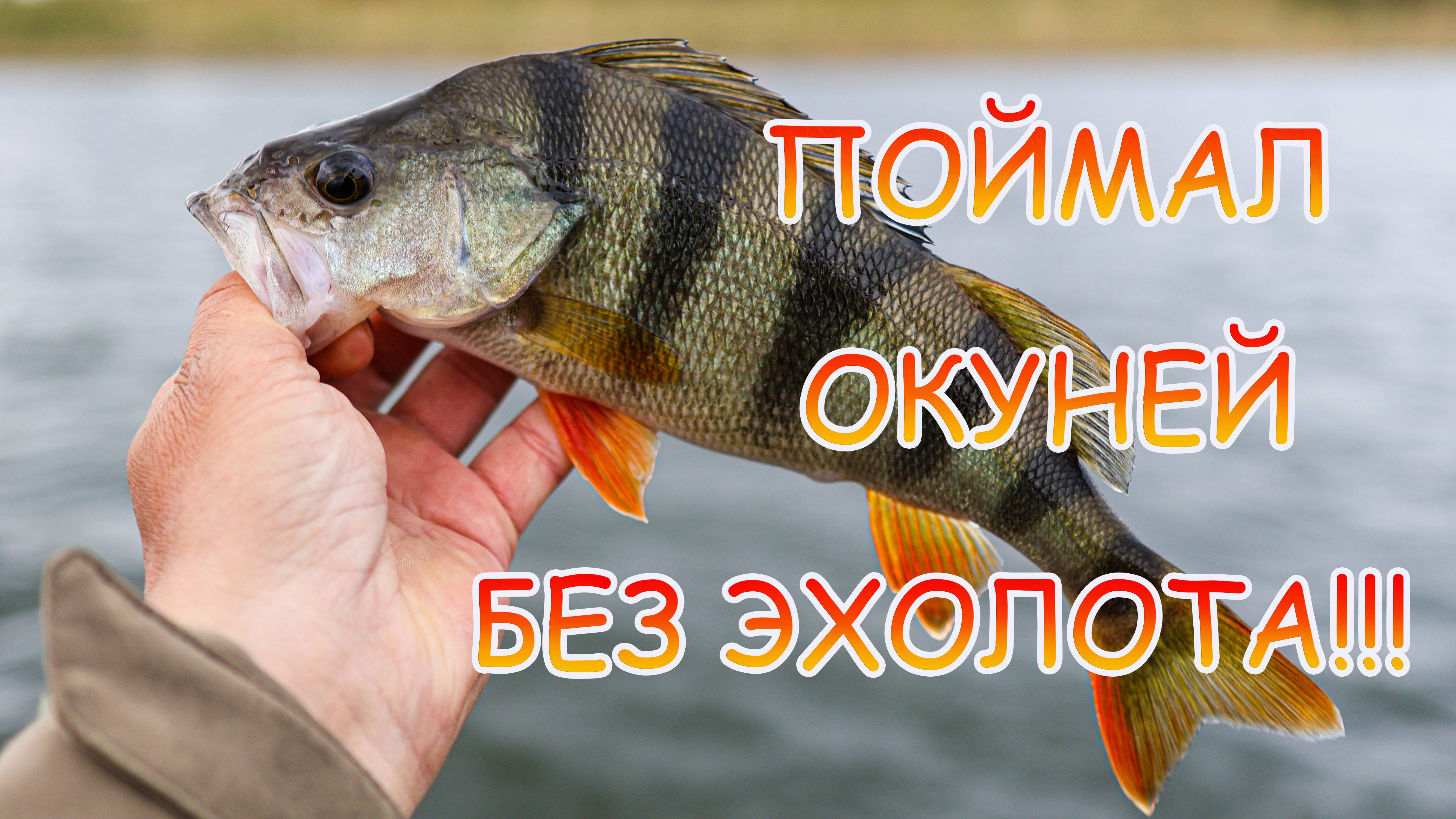 Забыл дома ЭХОЛОТ!!! Как теперь ловить окуня и судака??? Рыбалка на джиг 👍👍👍