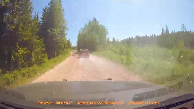 Санкт-Петербург - Выборг - Можжевельниково и обратно июль 2020