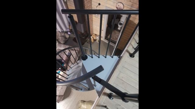 Фотографии установленных лестниц