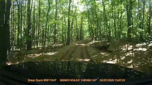 Старая Майна 2020