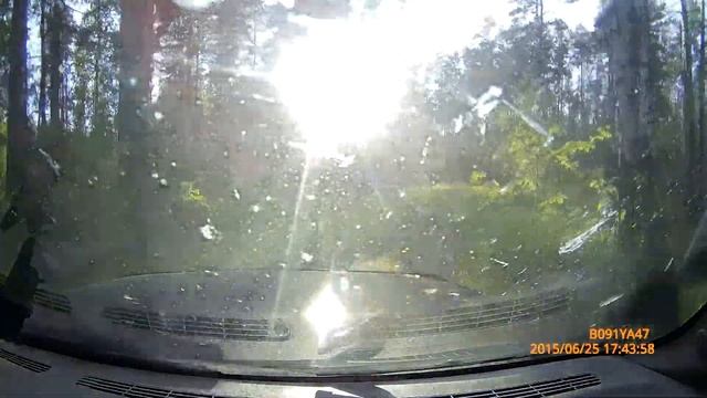 Старая Майна 2015