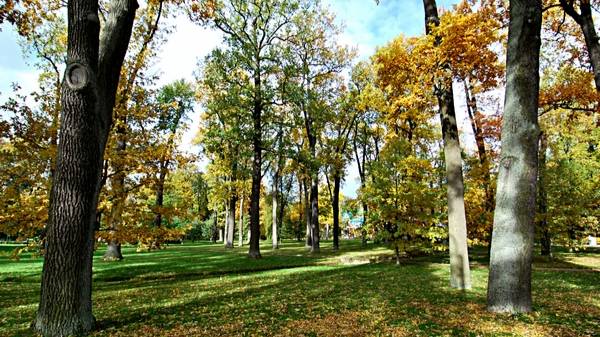 ПРОЩАНИЕ С ОСЕНЬЮ