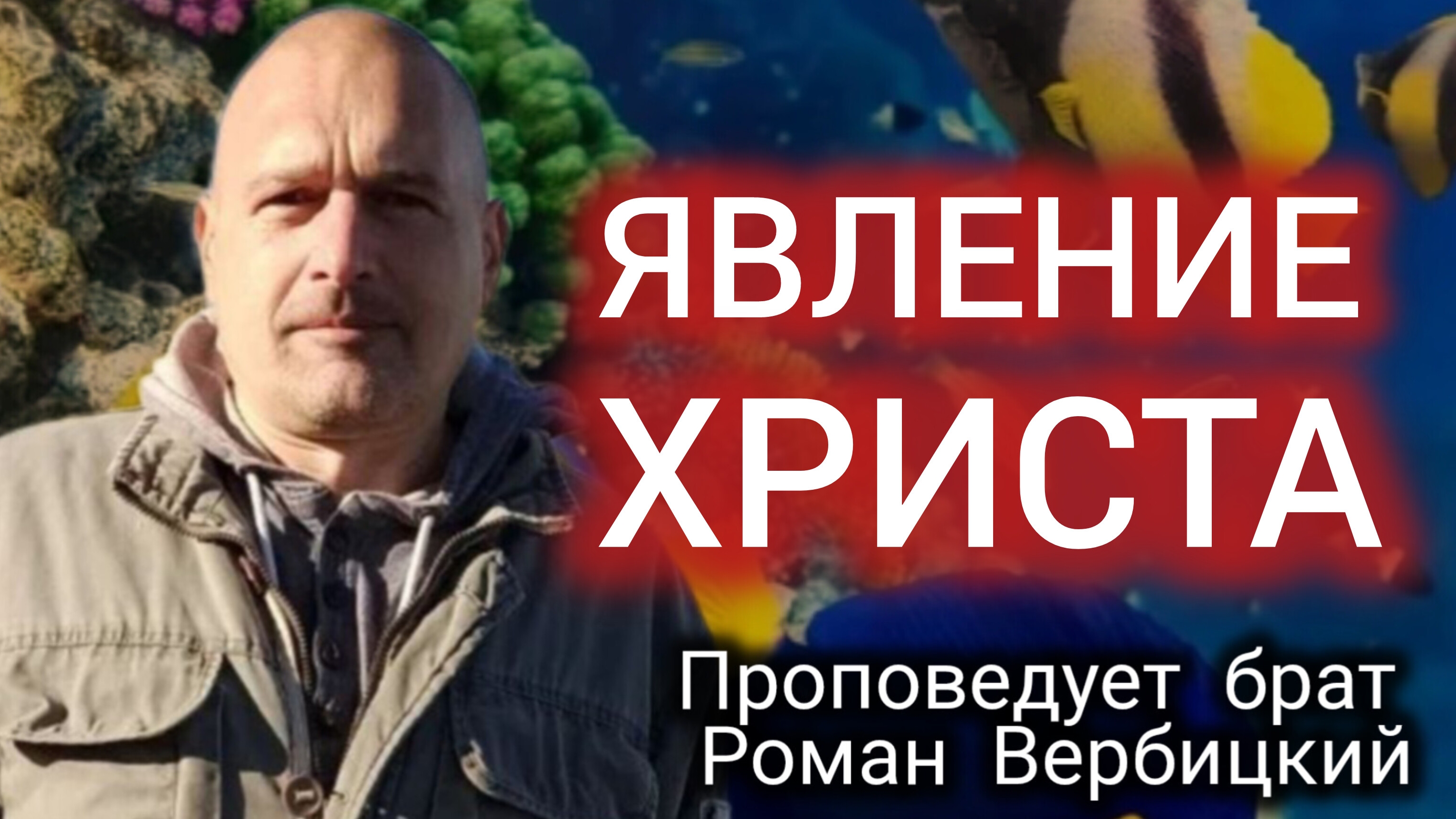 № 70⚡️Явление Христа⚡ЗРИ В КОРЕНЬ⚡️09.06.2024⚡Брат Роман