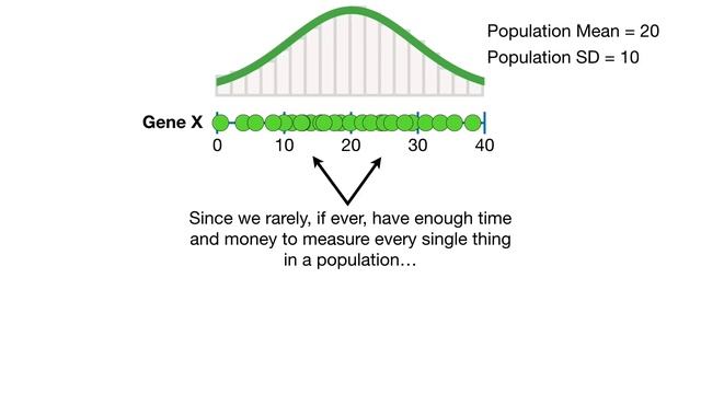 Population and Estimated Parameters, Clearly Explained!!!