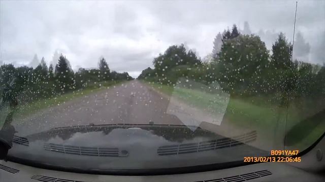 СПб - Медведь - СПб