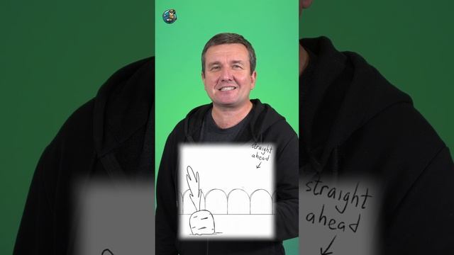 Принципы анимации 4