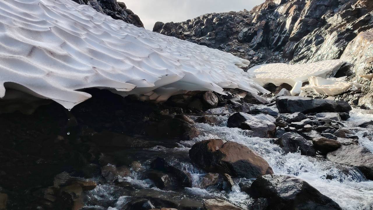 Снежники.
Полярный Урал. Рай-Из.