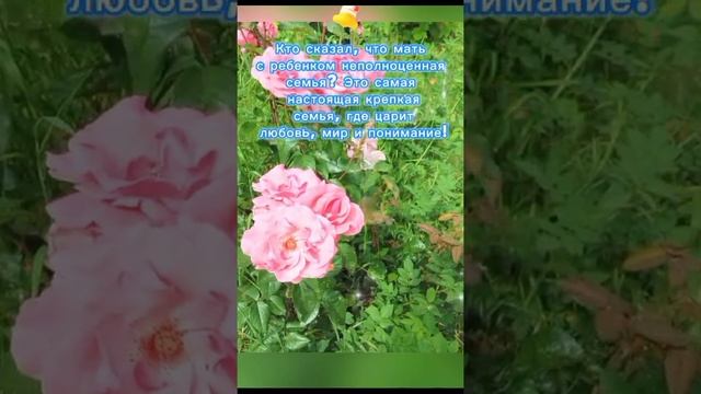 И это стопроцентная семья!