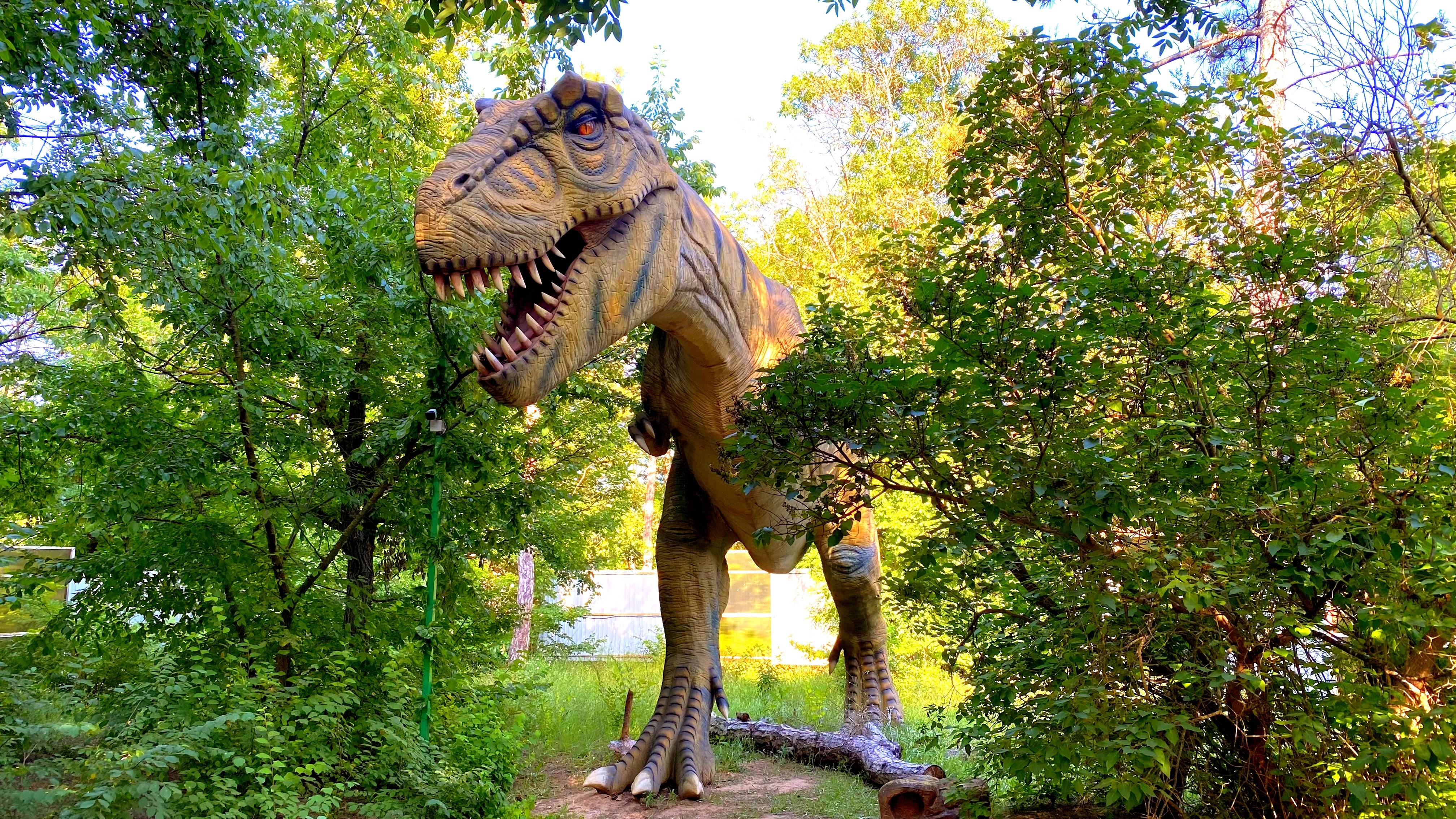 Спб - Крым на машине. Воронцовский парк, Дельфинарий в Евпатории, Парк Динозавров 2021 ч.10